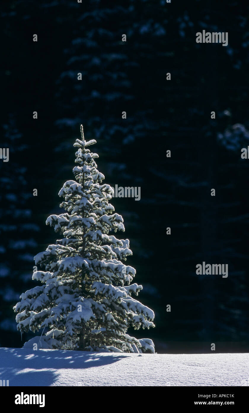 John e. marriott hi-res stock photography and images - Alamy