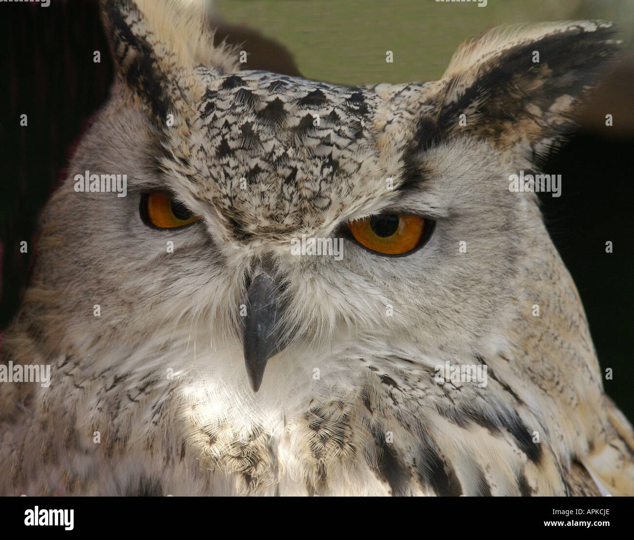 Xturks hi-res stock photography and images - Alamy