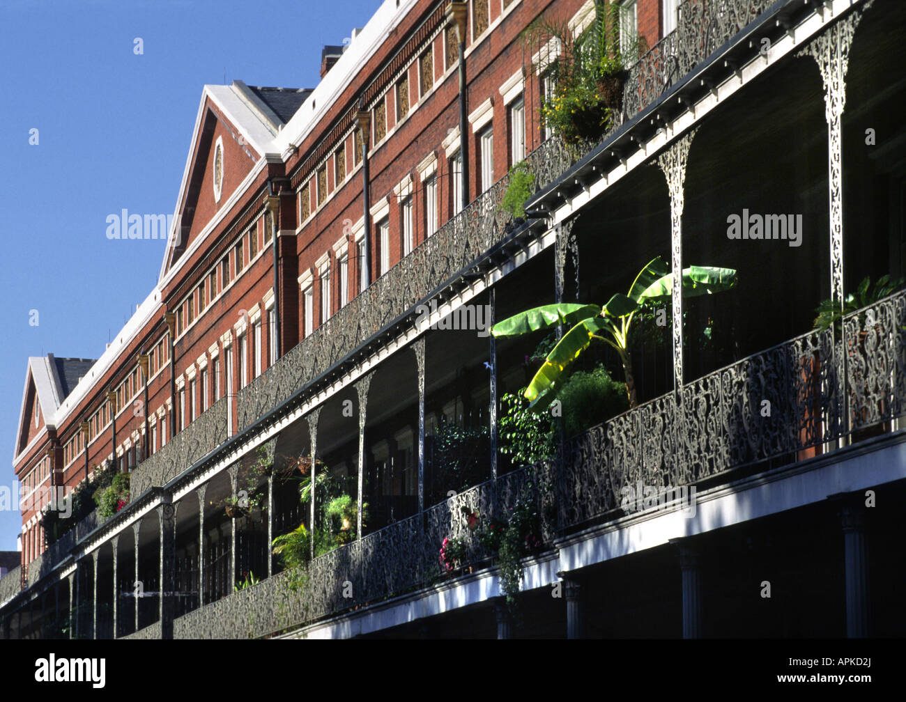 1850 House New Orleans High Resolution Stock Photography and Images - Alamy