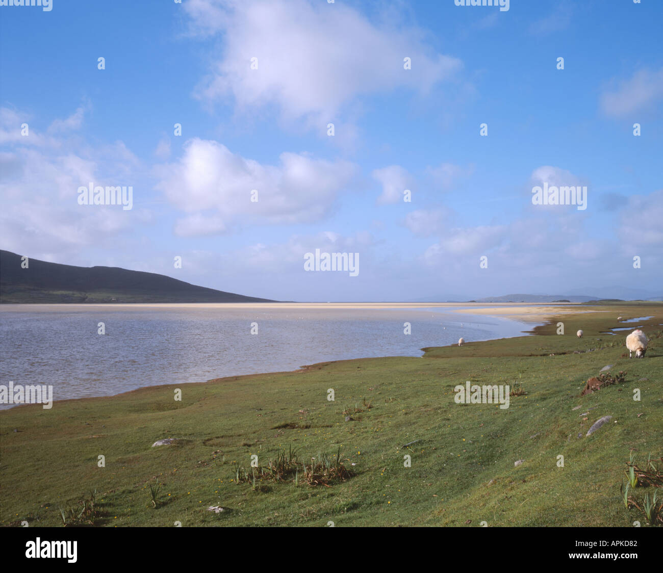 Golden strand hi-res stock photography and images - Alamy