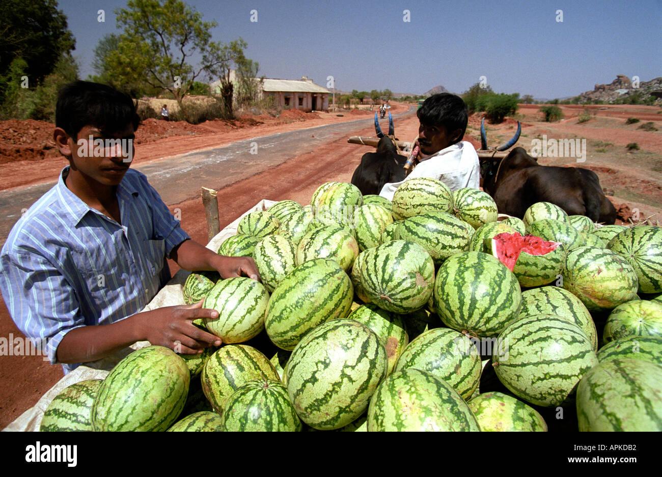 Mellons hi-res stock photography and images - Alamy