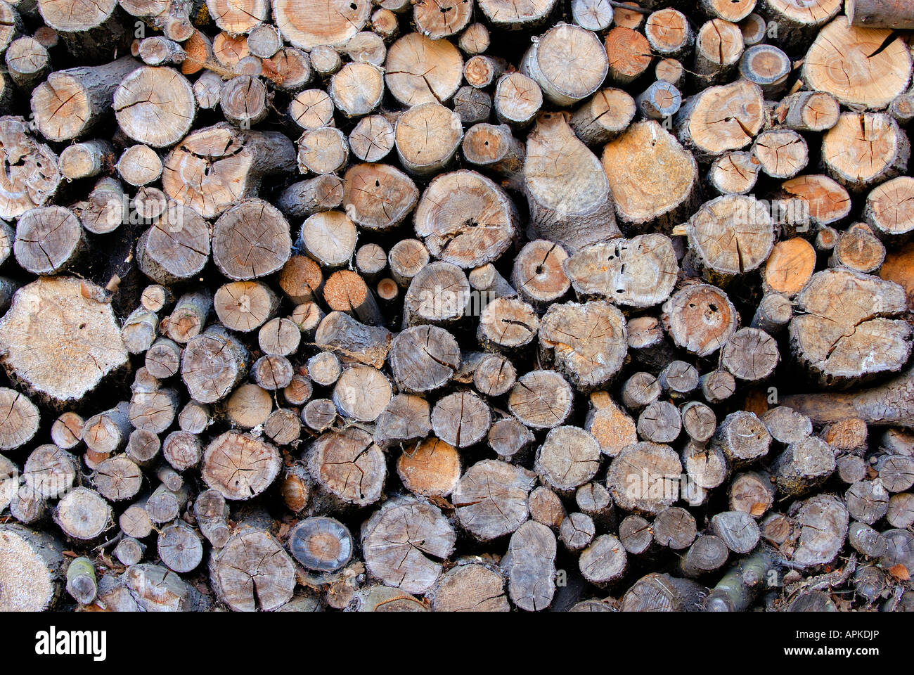 stack of tree trunks in winter, Austria Stock Photo - Alamy