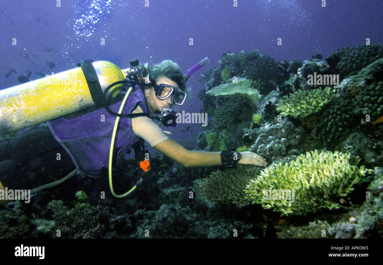 Maldives Underwater environment scuba diver damaging coral by touching ...