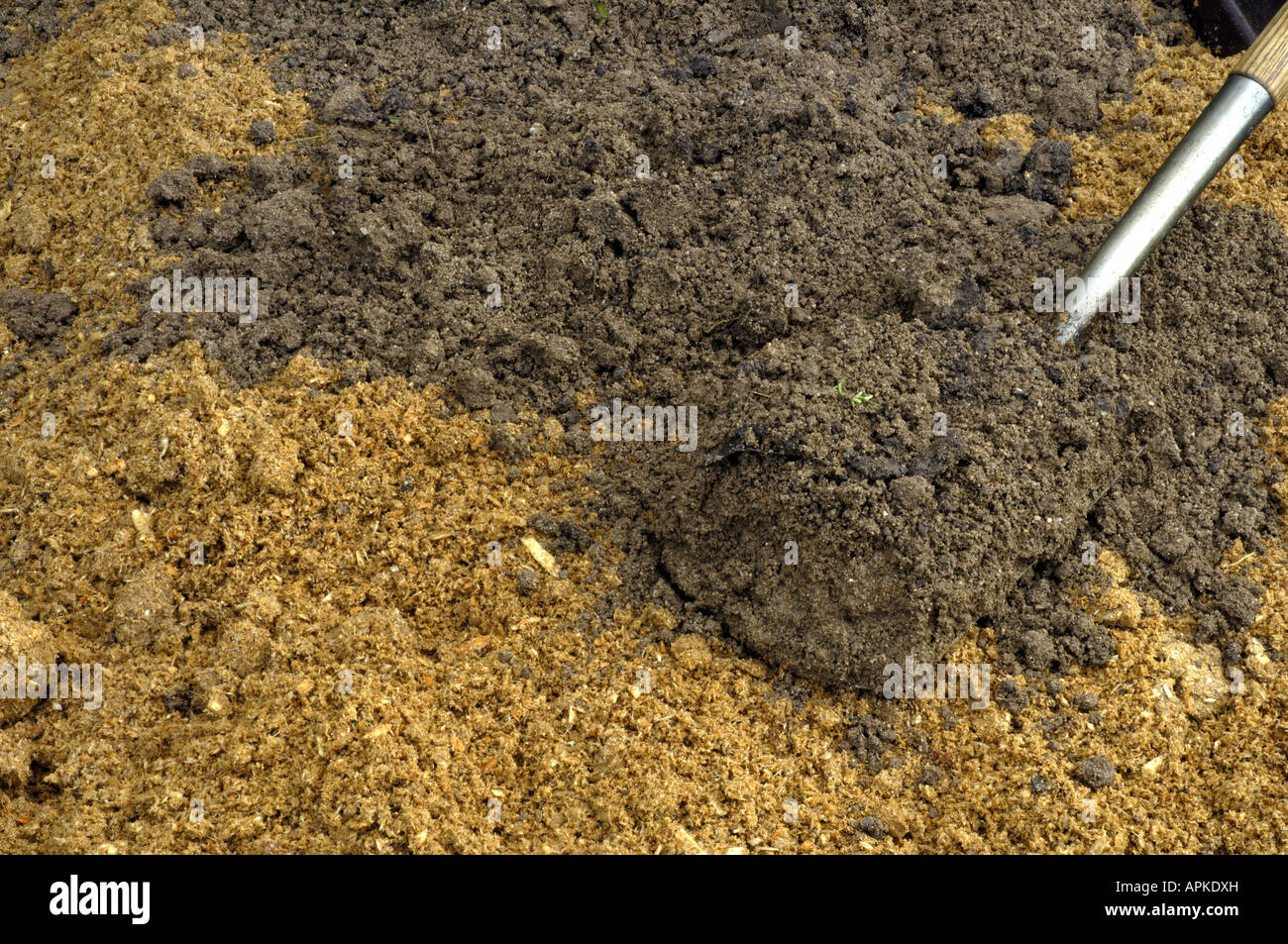 fungi cultivation, covering substrate with garden soil Stock Photo - Alamy