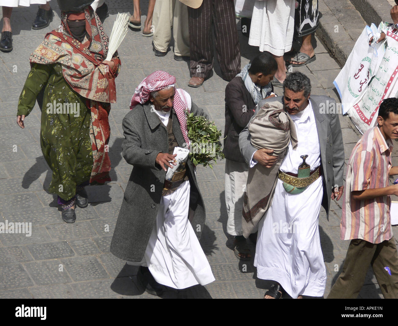 arabia tea, khat (Catha edulis), yemenite man with twigs of khat in the ...