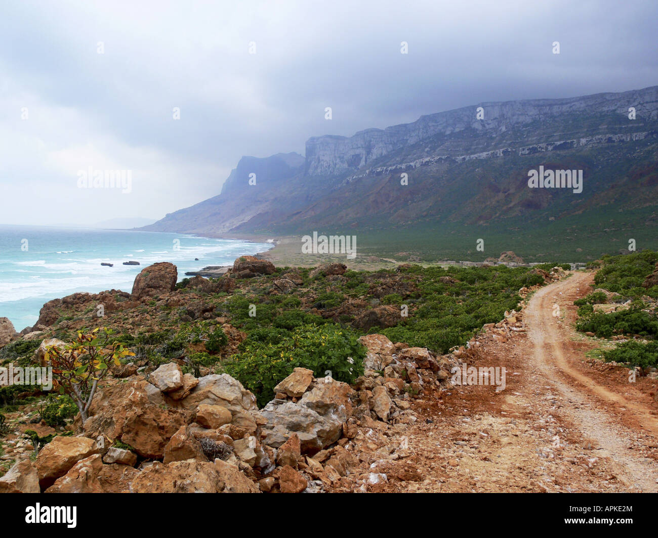 Socotra geology hi-res stock photography and images - Alamy