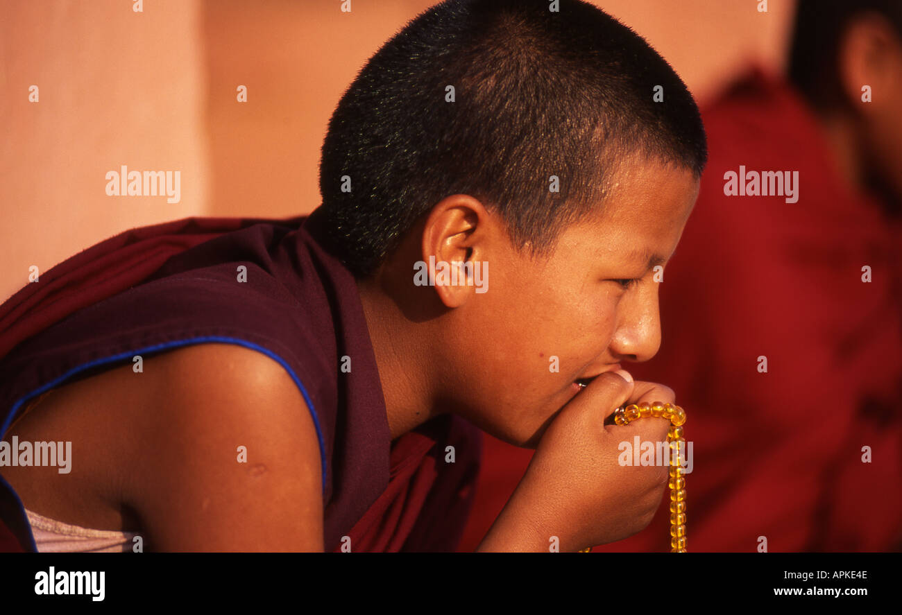 Young monk praying Stock Photo - Alamy