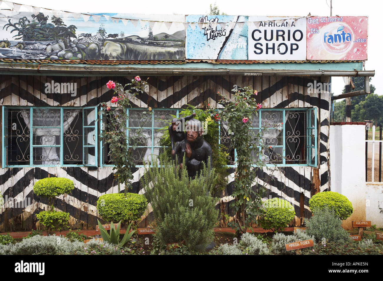 curio shop for tourists, Kenya, Nanyuki Stock Photo - Alamy
