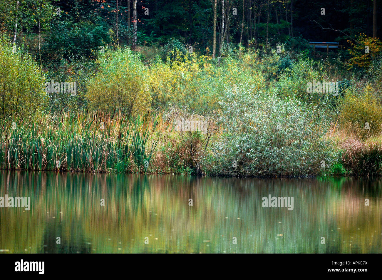 Reflections In A Lake Stock Photo - Alamy
