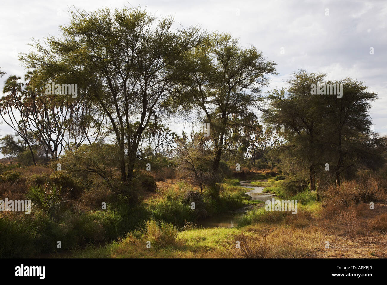 landscape, Kenya, Samburu National Reserve, Isiolo Stock Photo - Alamy