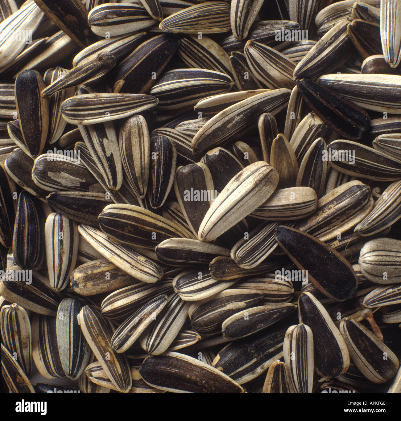 Detail Of Sunflower Seeds Stock Photo - Alamy