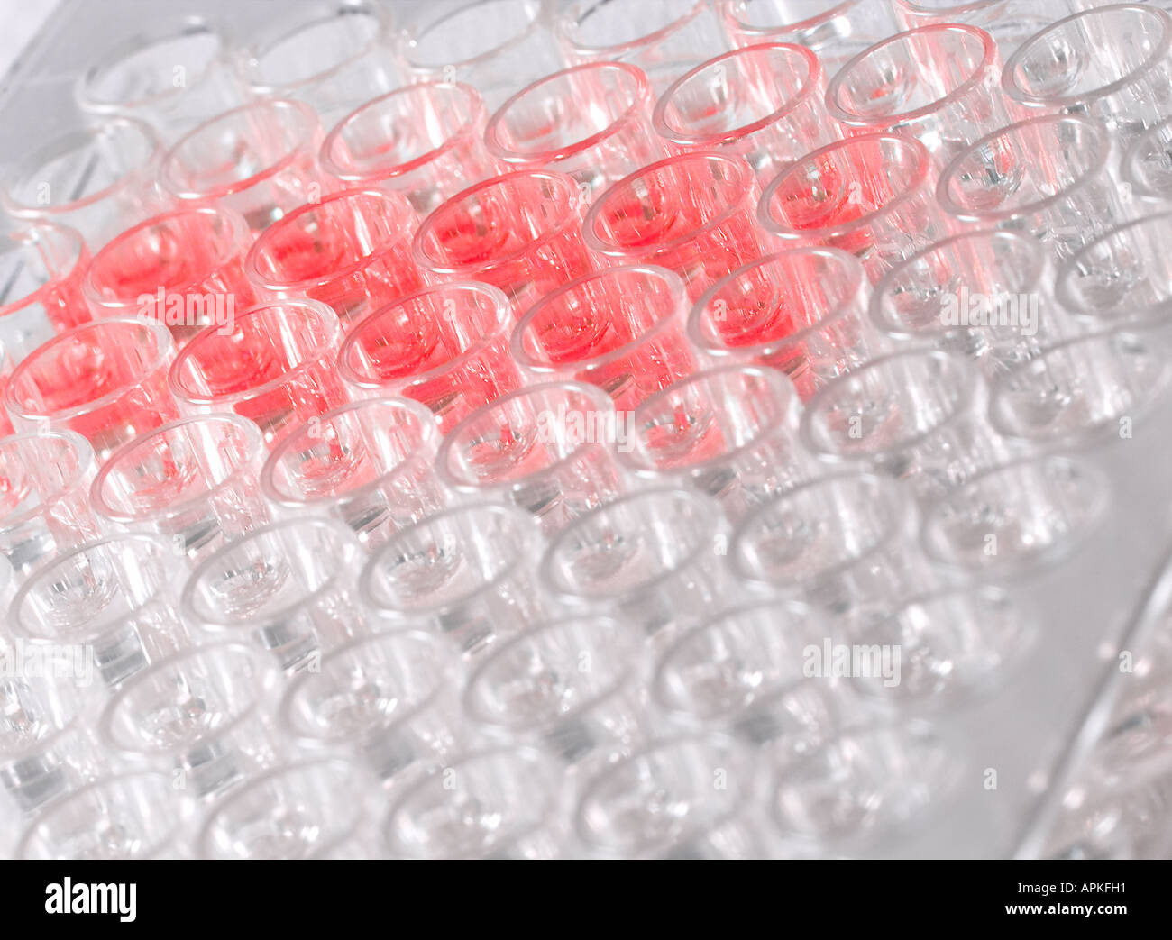 Laboratory test arrangement tubes hi-res stock photography and images ...