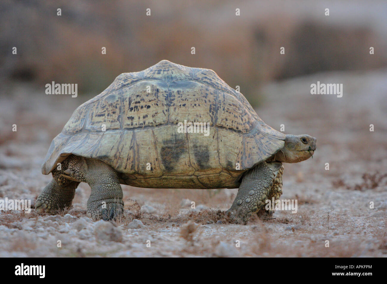 Individual lands hi-res stock photography and images - Alamy