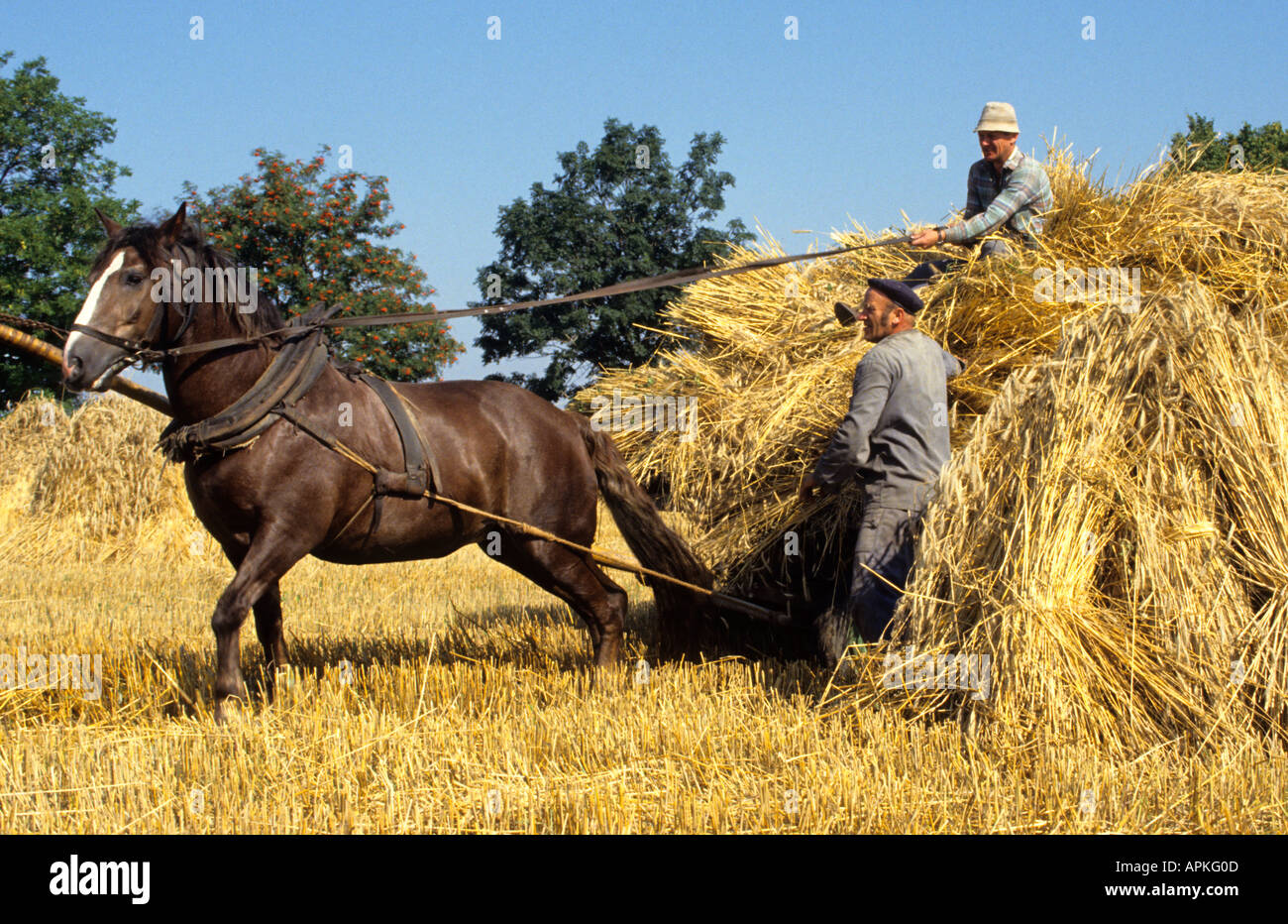Poland Polish Farm Farmer Agriculture 1975 history historic Stock Photo ...
