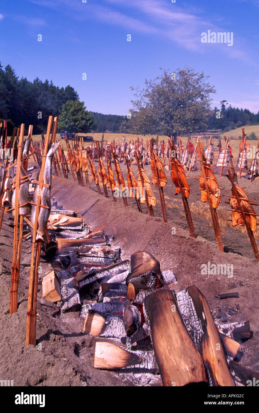 Wild Salmon Bake / Barbecue - Traditional Native Indian Style cooking ...