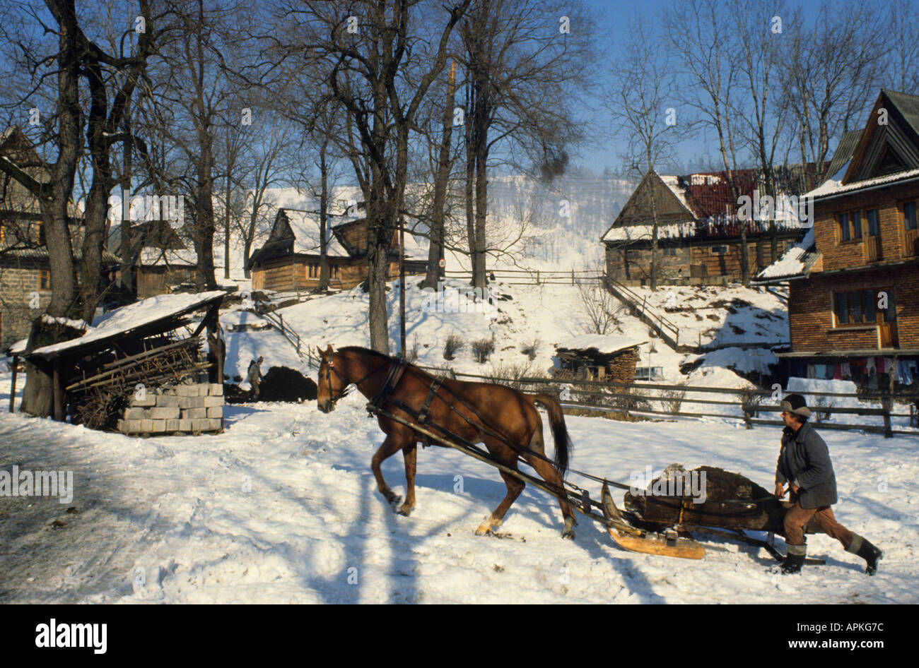 Poland Polish Farm Farms Zakopane horse cart Farm Farms Stock Photo - Alamy