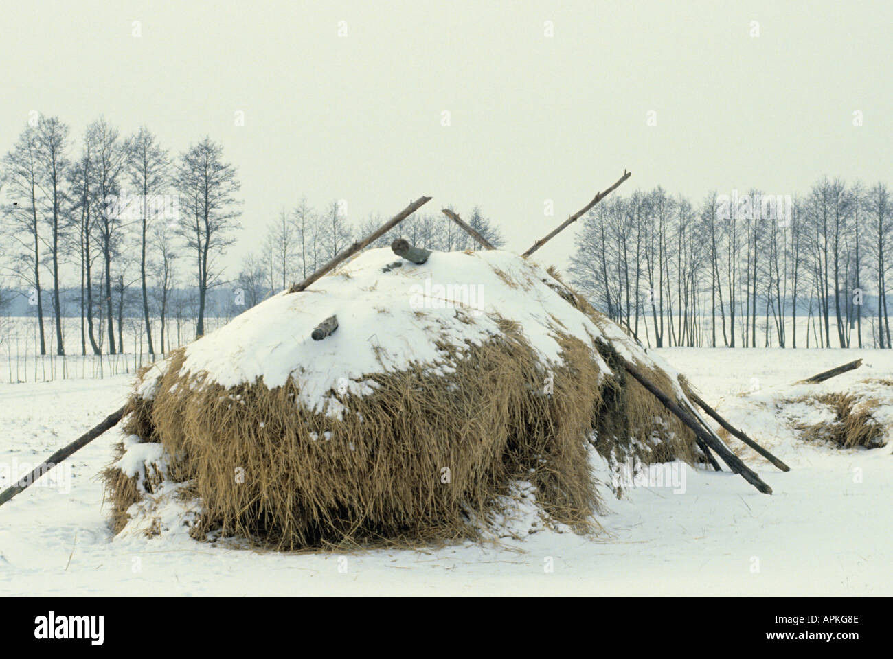 Poland polish farm farms zakopane hi-res stock photography and images ...