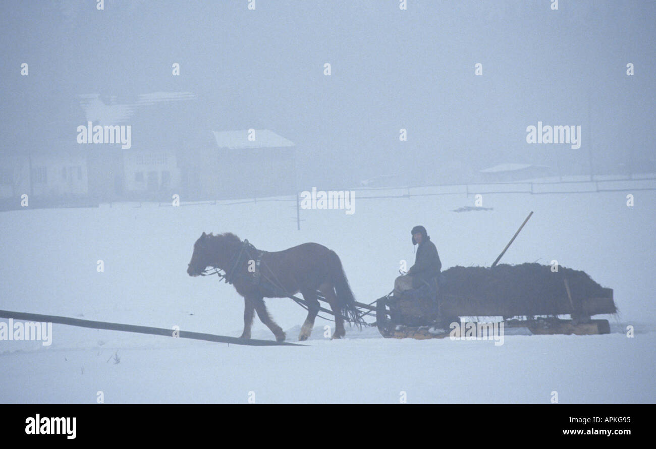 Zakopane horse sledge sleigh sled Poland Polish Stock Photo - Alamy
