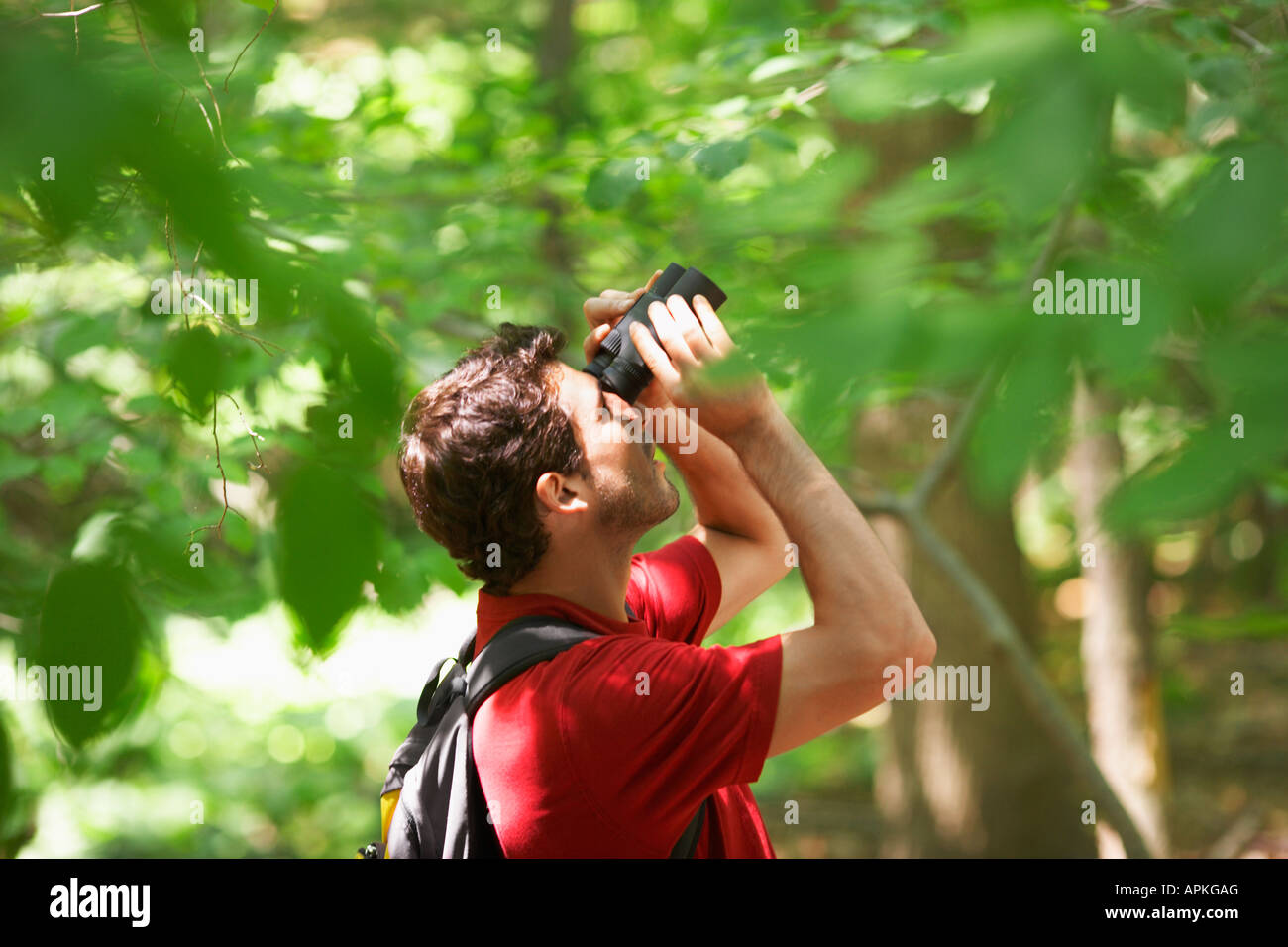 Man watching birds hi-res stock photography and images - Alamy