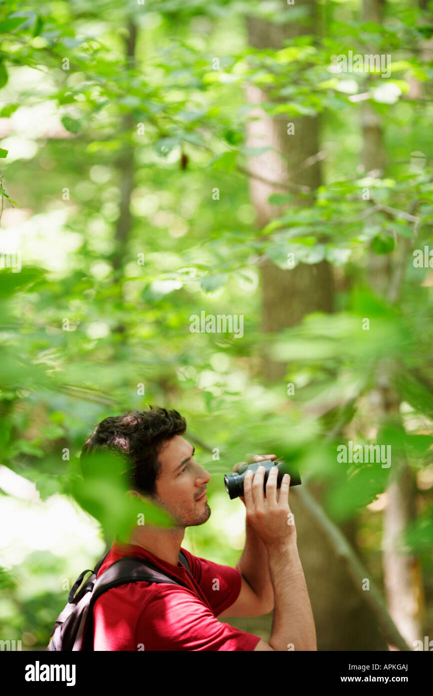 Man watching birds in forest Stock Photo - Alamy