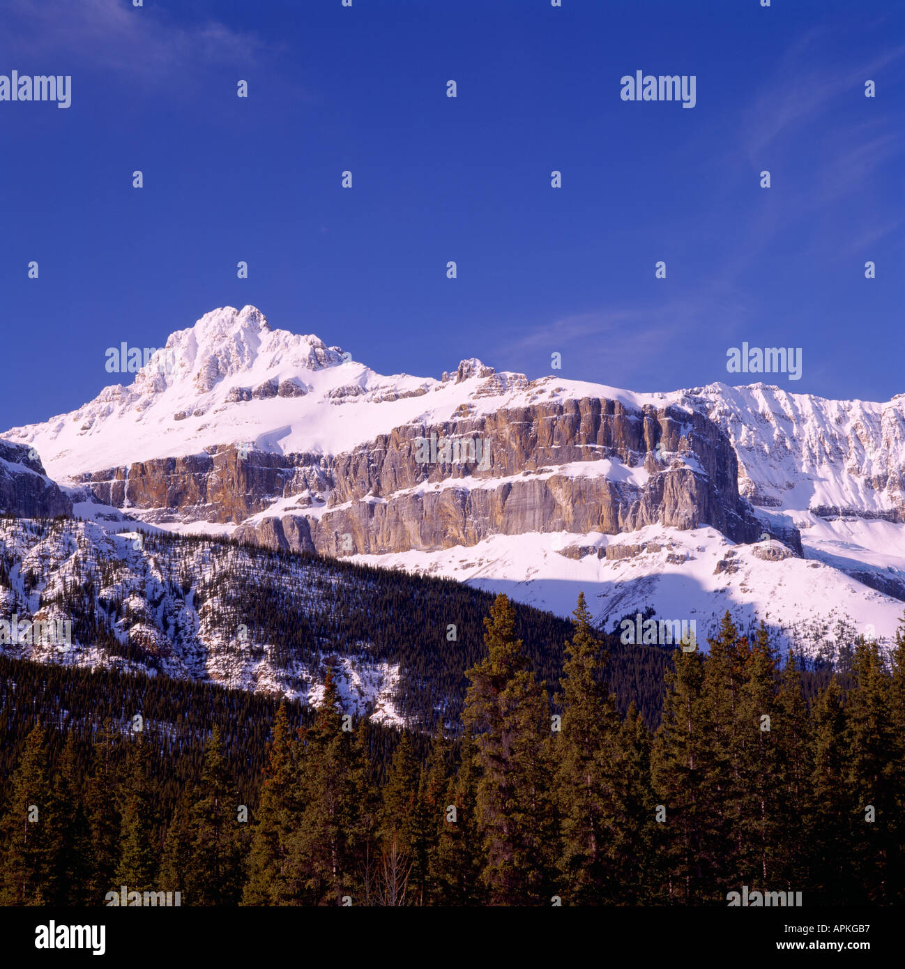 Snow Covered Mountain in Kootenay National Park in the Canadian Rockies ...