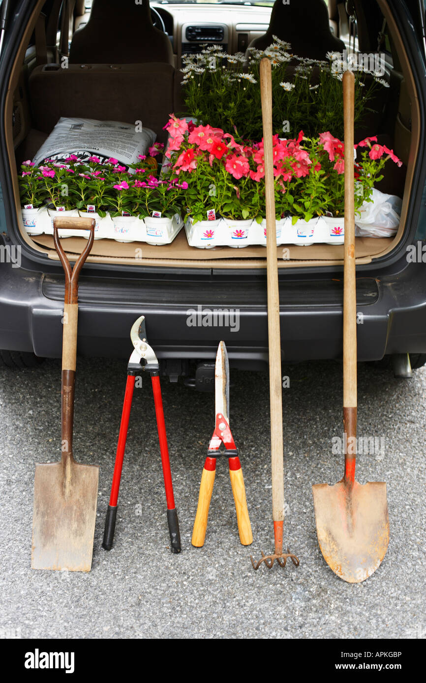 Flowers and gardening equipment in car trunk Stock Photo - Alamy