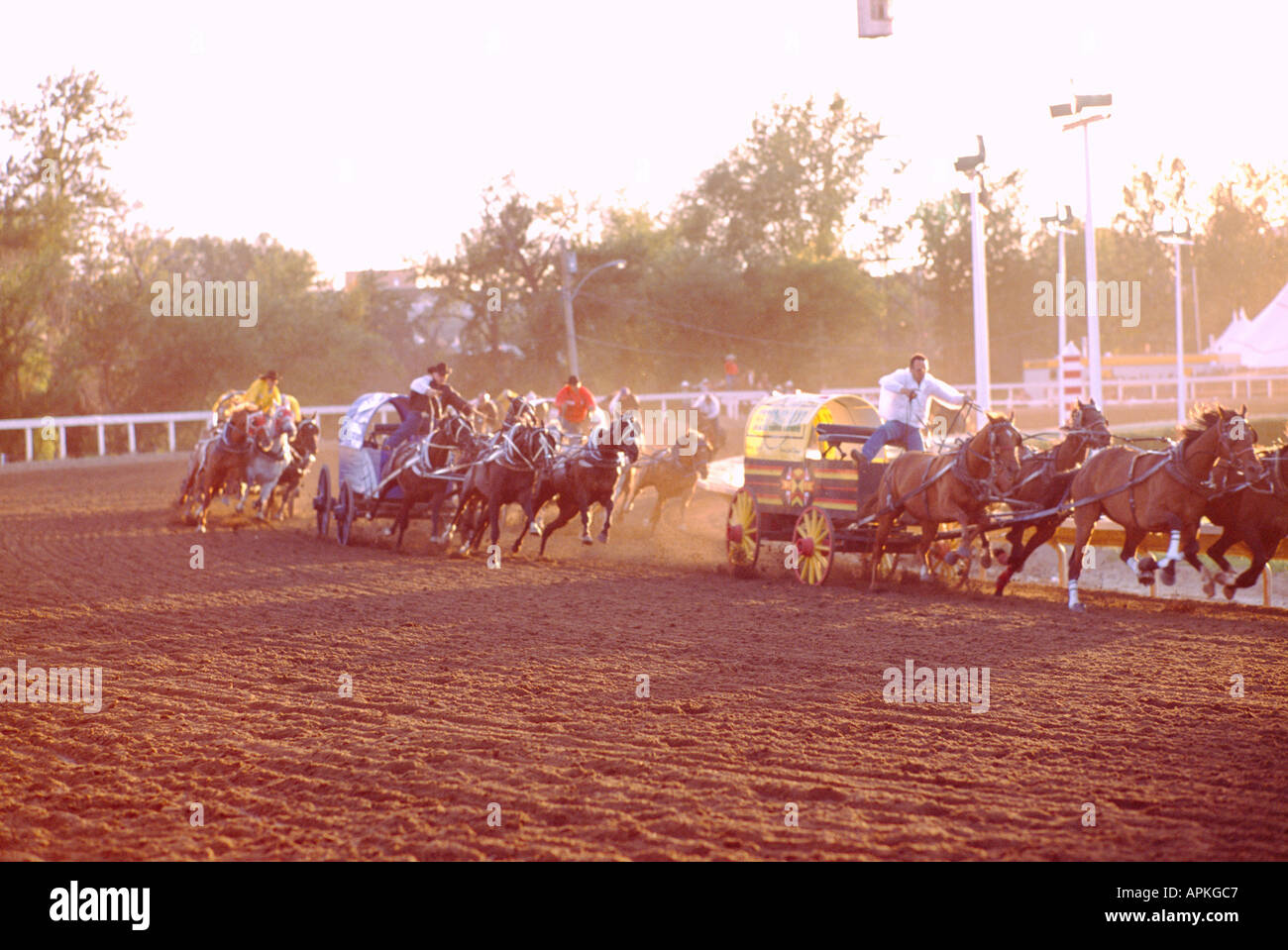 A Chuckwagon Race at the Calgary Stampede Rodeo in the City of Calgary ...