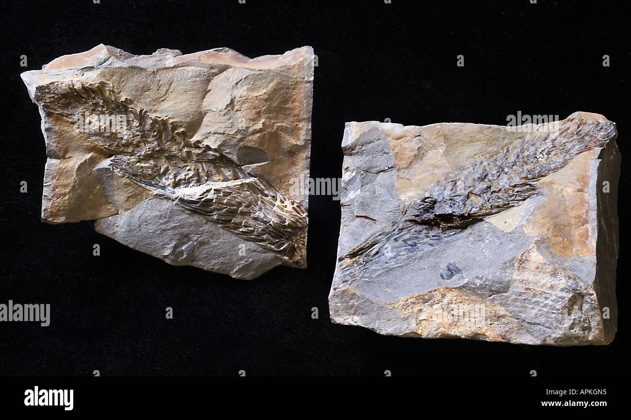 Ironstone hi-res stock photography and images - Alamy