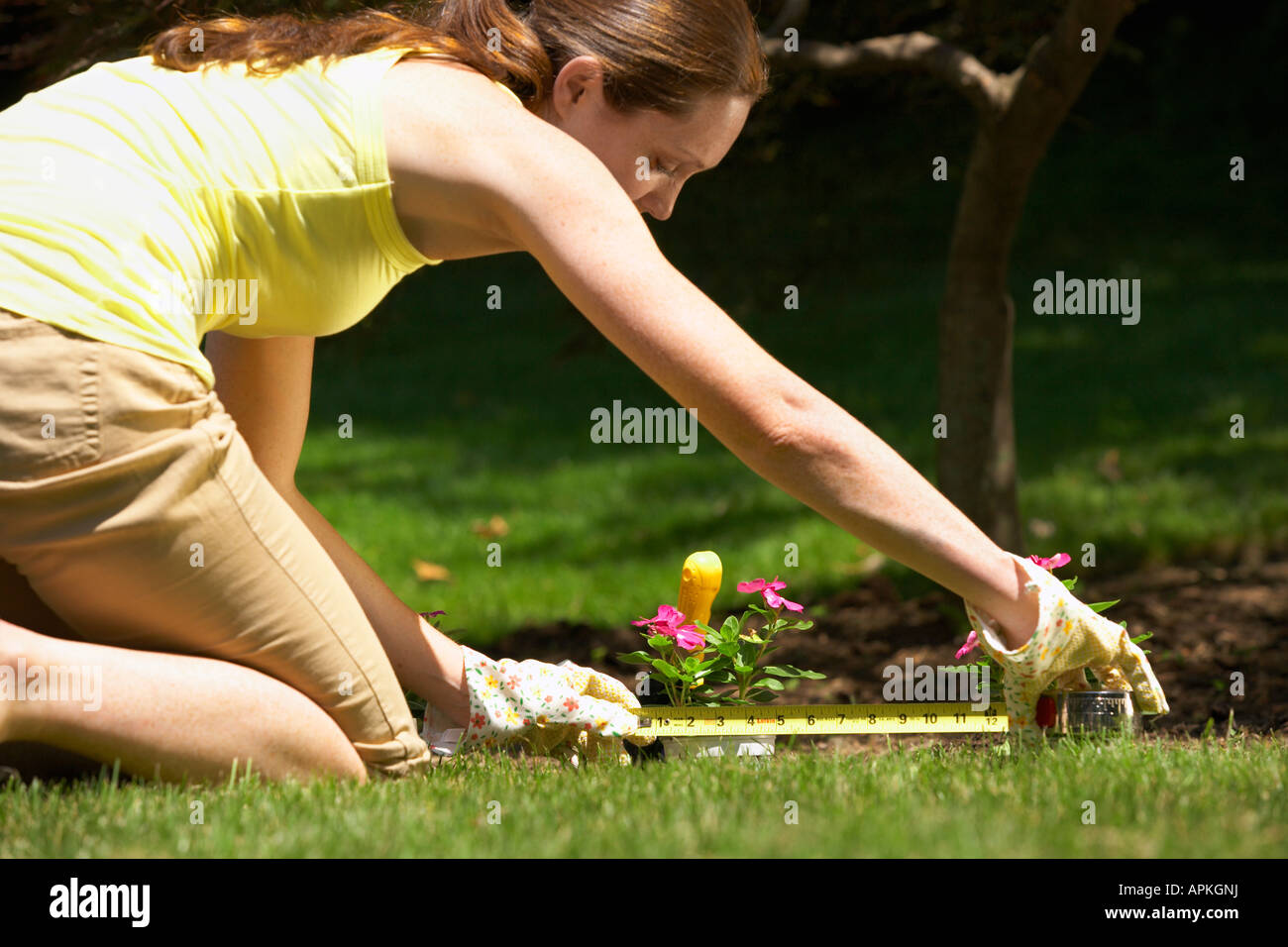 Woman measuring flower bed Stock Photo - Alamy