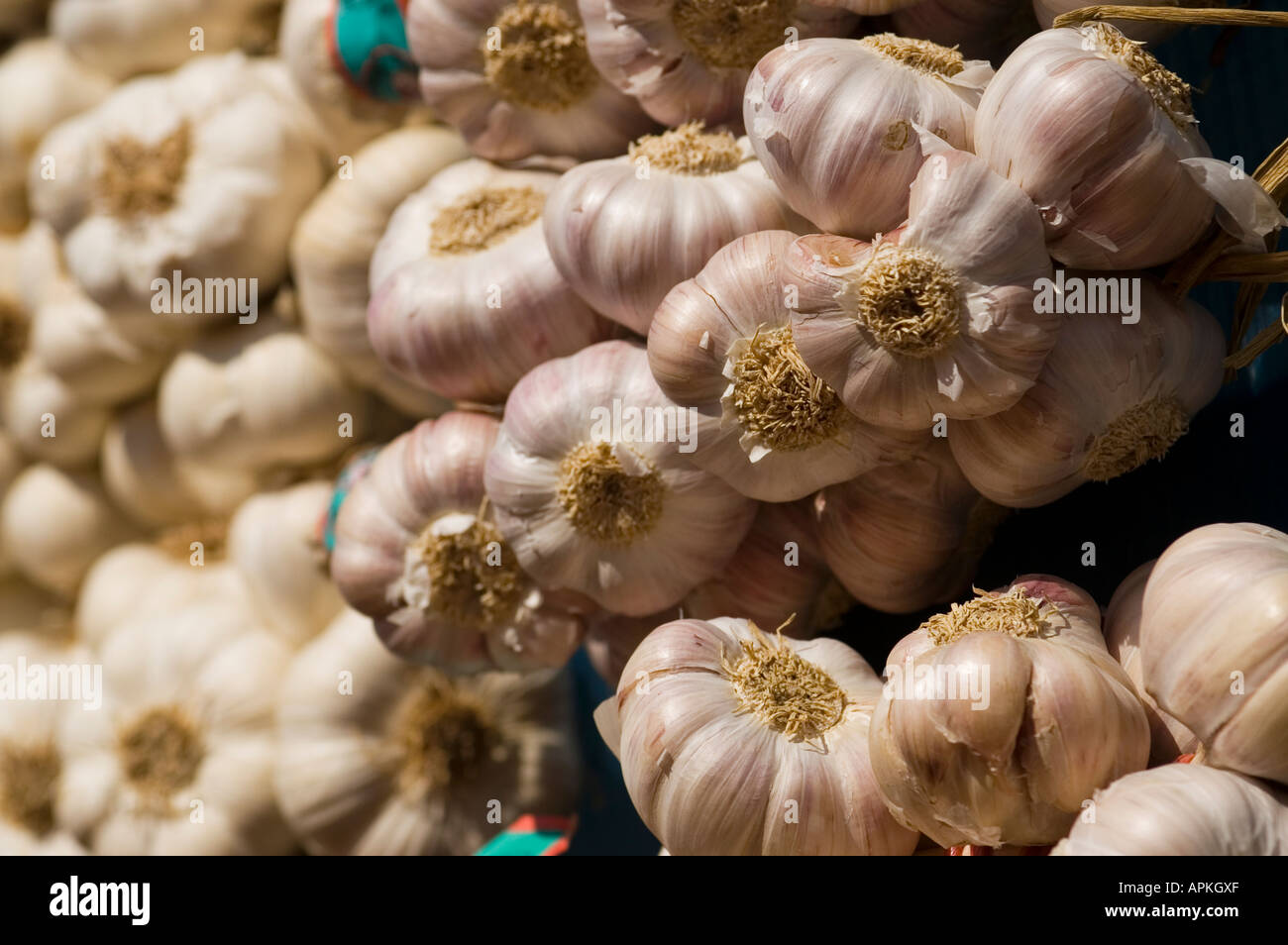 Garlic on stall in outdoor market, Marche Aux Fleurs, Nice FRANCE Stock ...