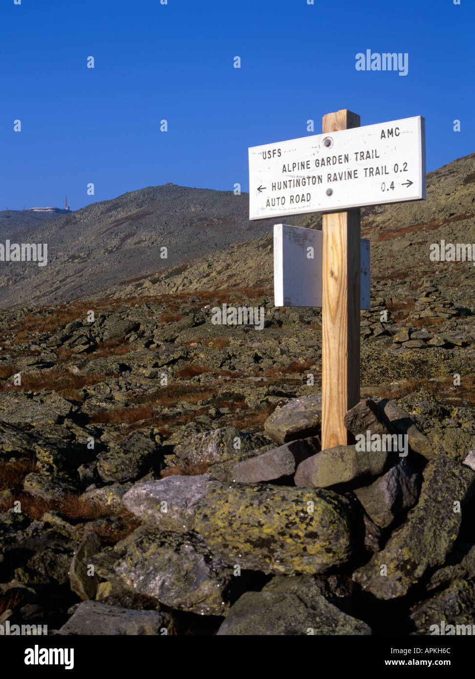 Hiking in the beautiful scenic landscape of the Alpine Zone which is ...