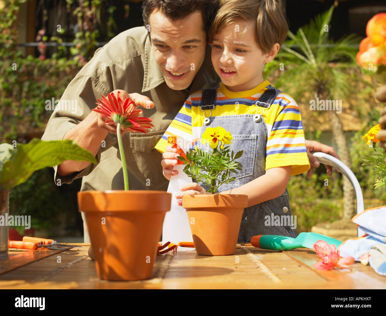 Father and son planting flowers Stock Photo - Alamy