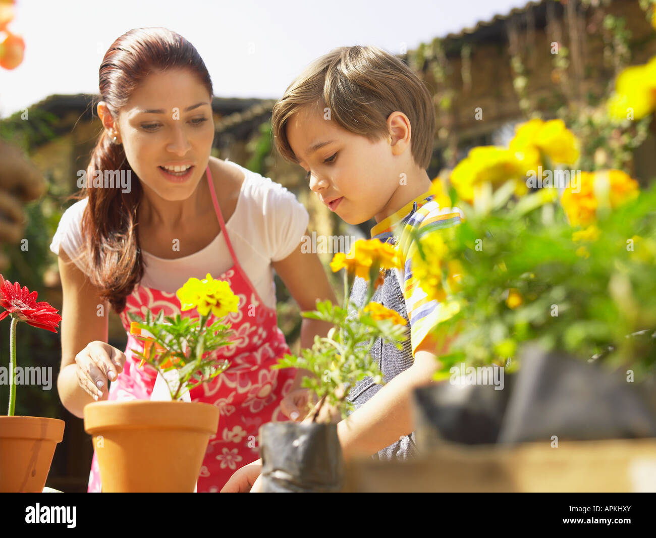 Mother and son planting flowers (low angle view Stock Photo - Alamy