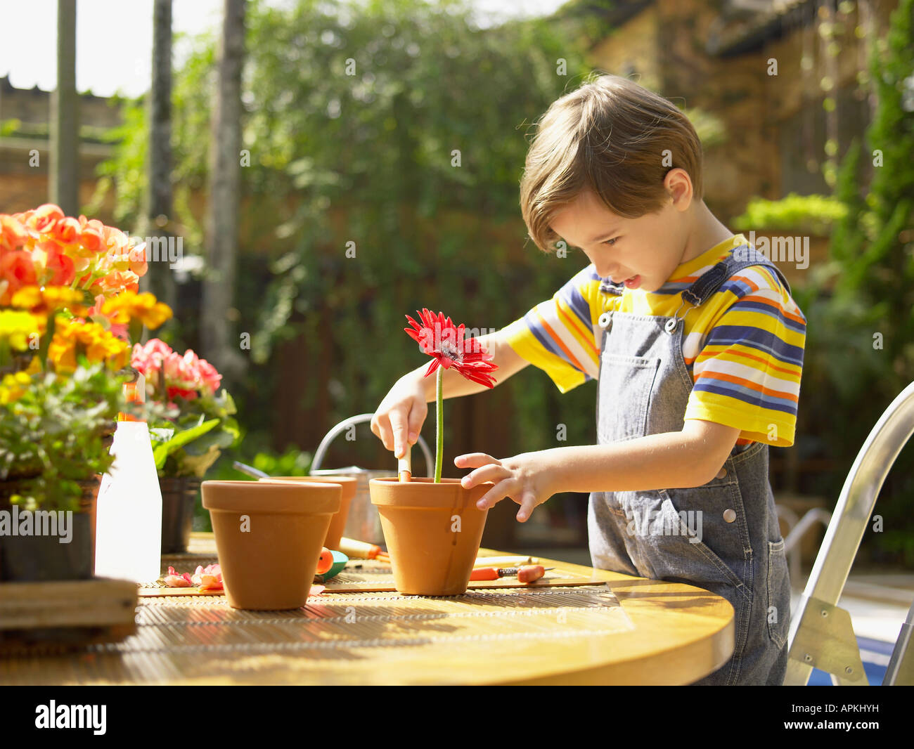Boy planting flowers Stock Photo - Alamy