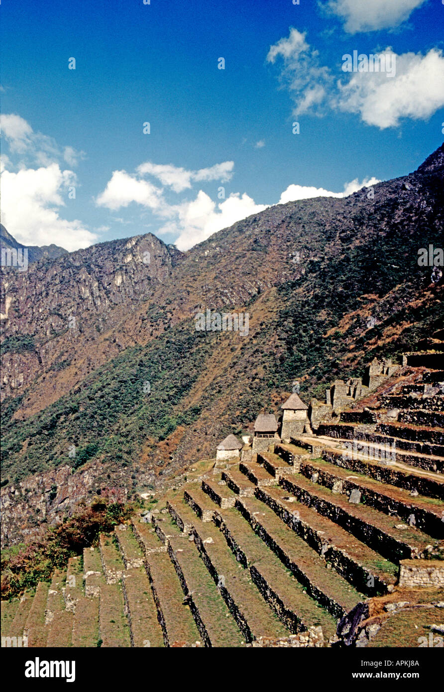 Agricultural terraces peru pre inca hi-res stock photography and images ...