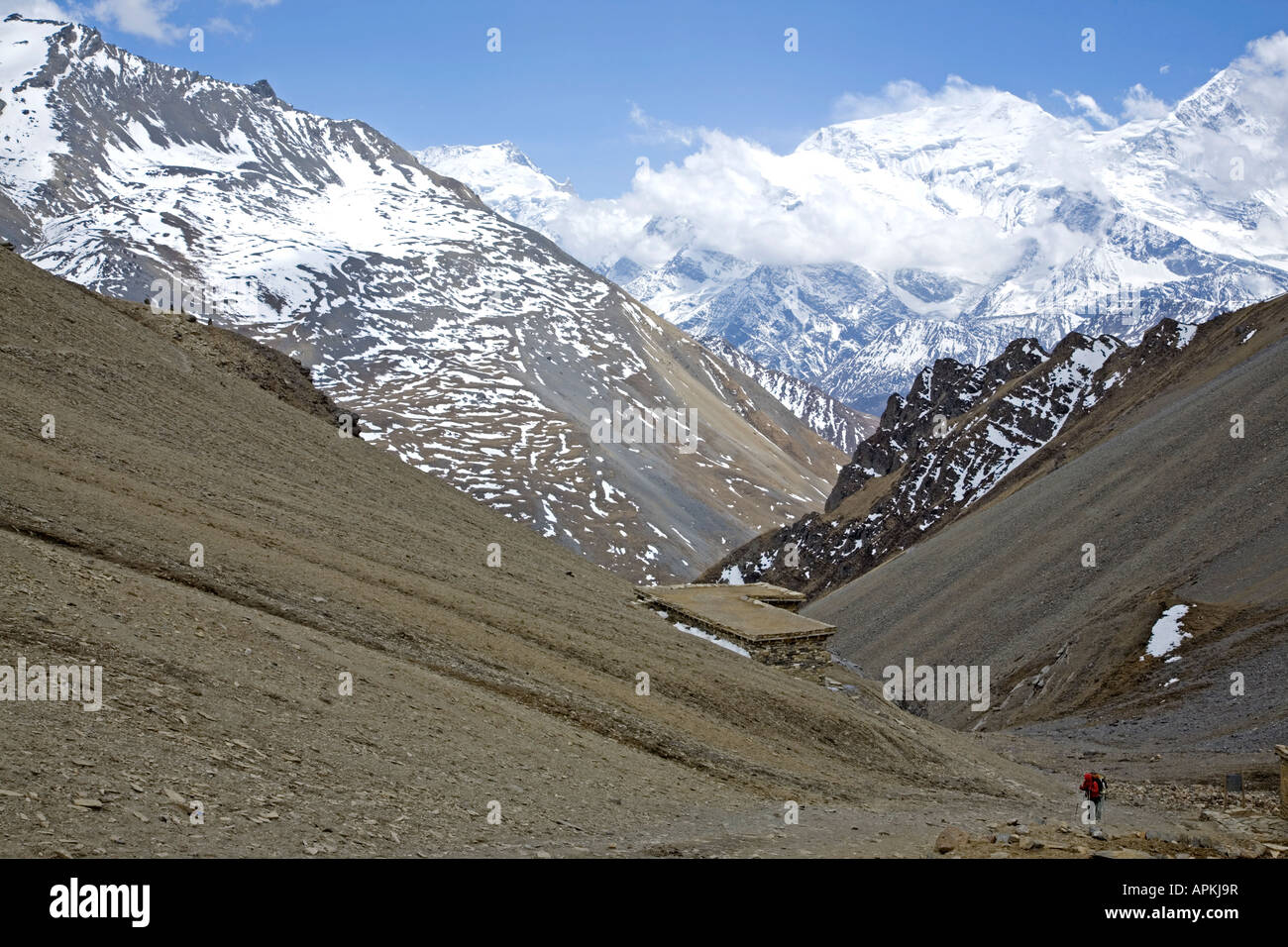 Trekker arriving to Thorung Phedi High Camp (4925m). Annapurna circuit ...
