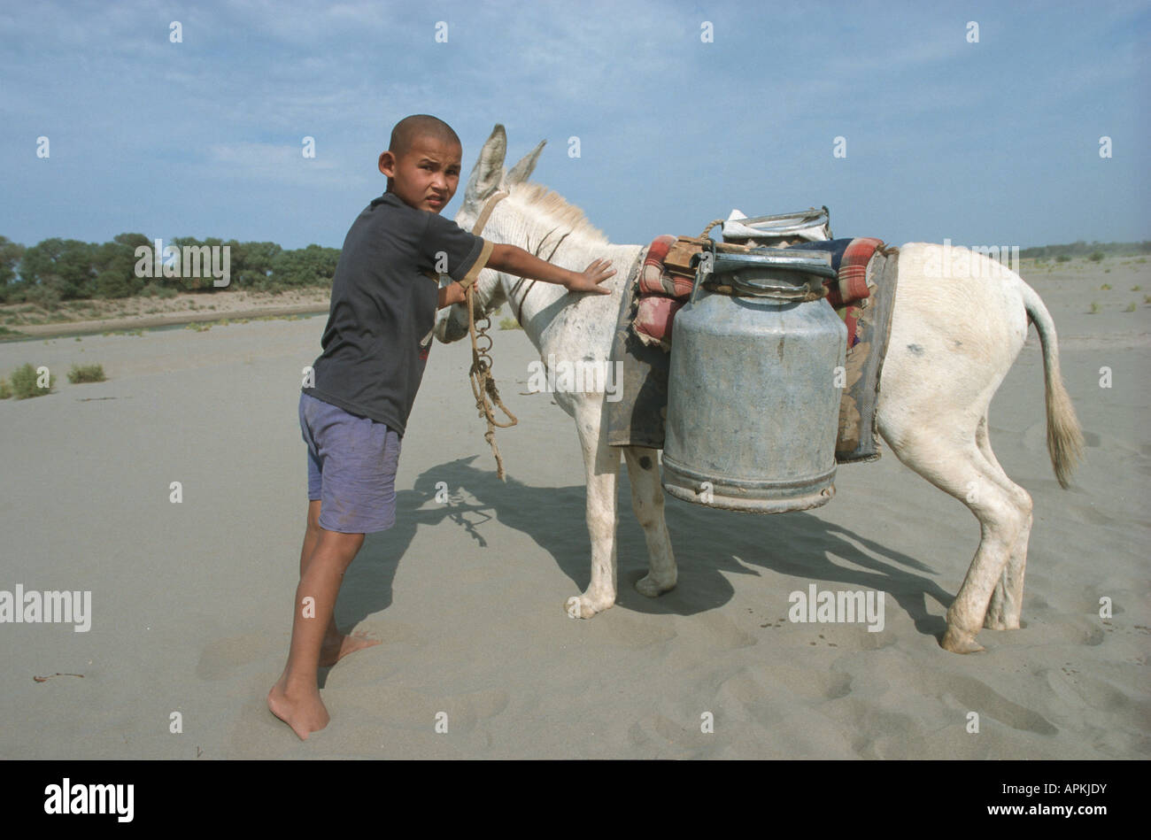Donkey carrying water hi-res stock photography and images - Alamy