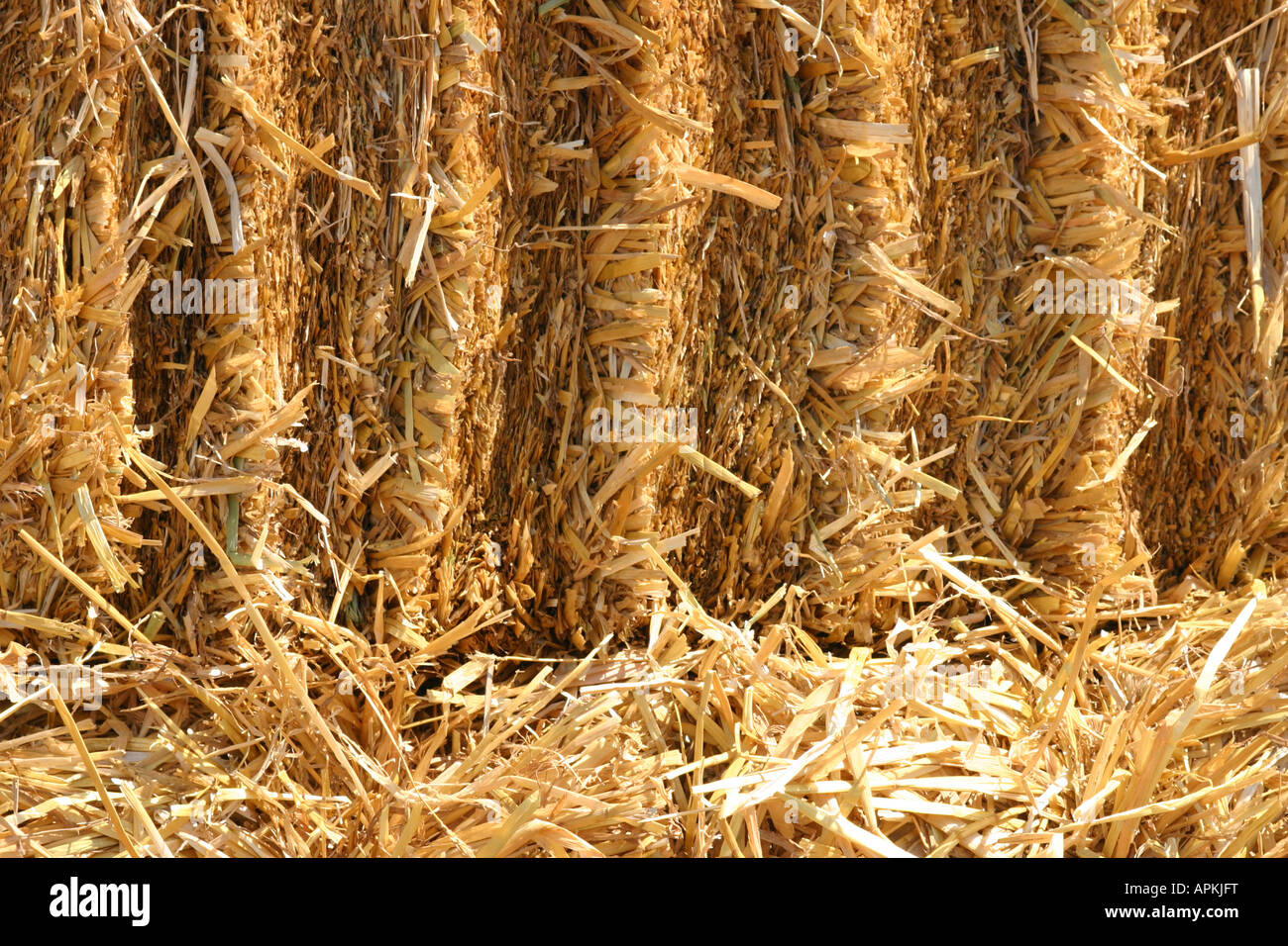 harvest golden wheat bale hay closeup Stock Photo - Alamy