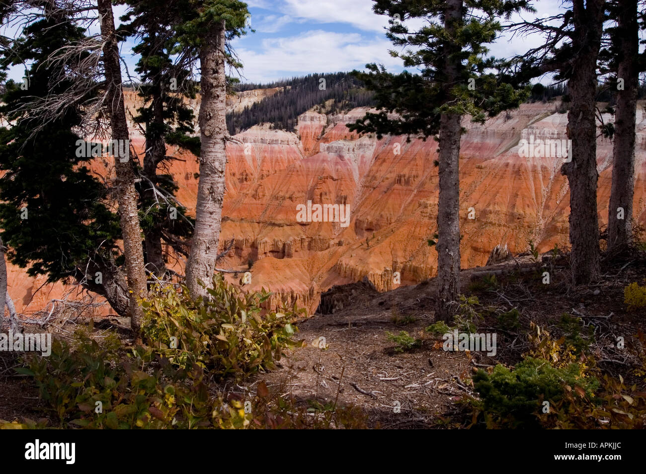 Cedar Breaks National Monument Utah UT view vista from Point Supreme ...