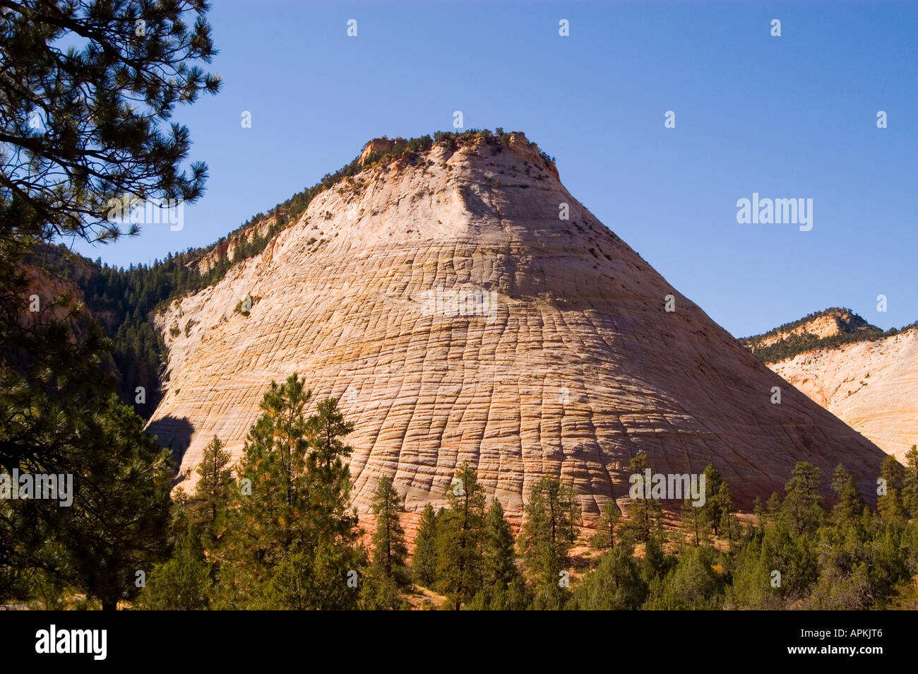 Zion National Park Utah UT Checkerboard Mesa rock formation Stock Photo ...