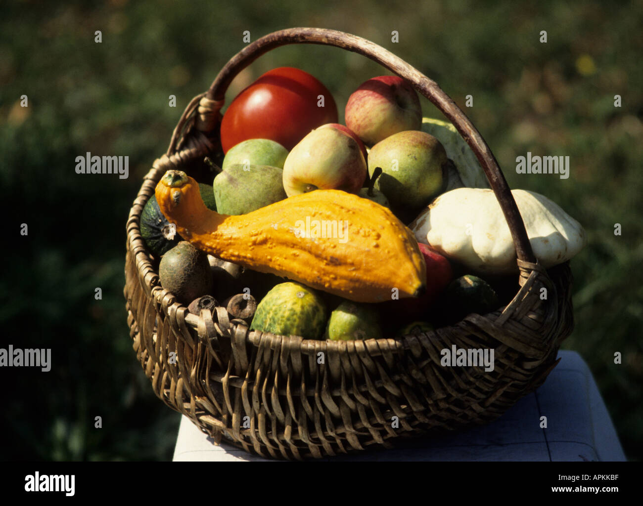 Fruit basket Lithuania Farm Agriculture Baltic foods Stock Photo - Alamy