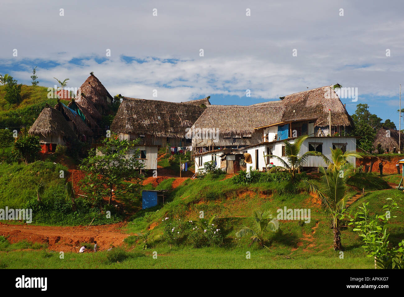 Fijian agriculture hi-res stock photography and images - Alamy