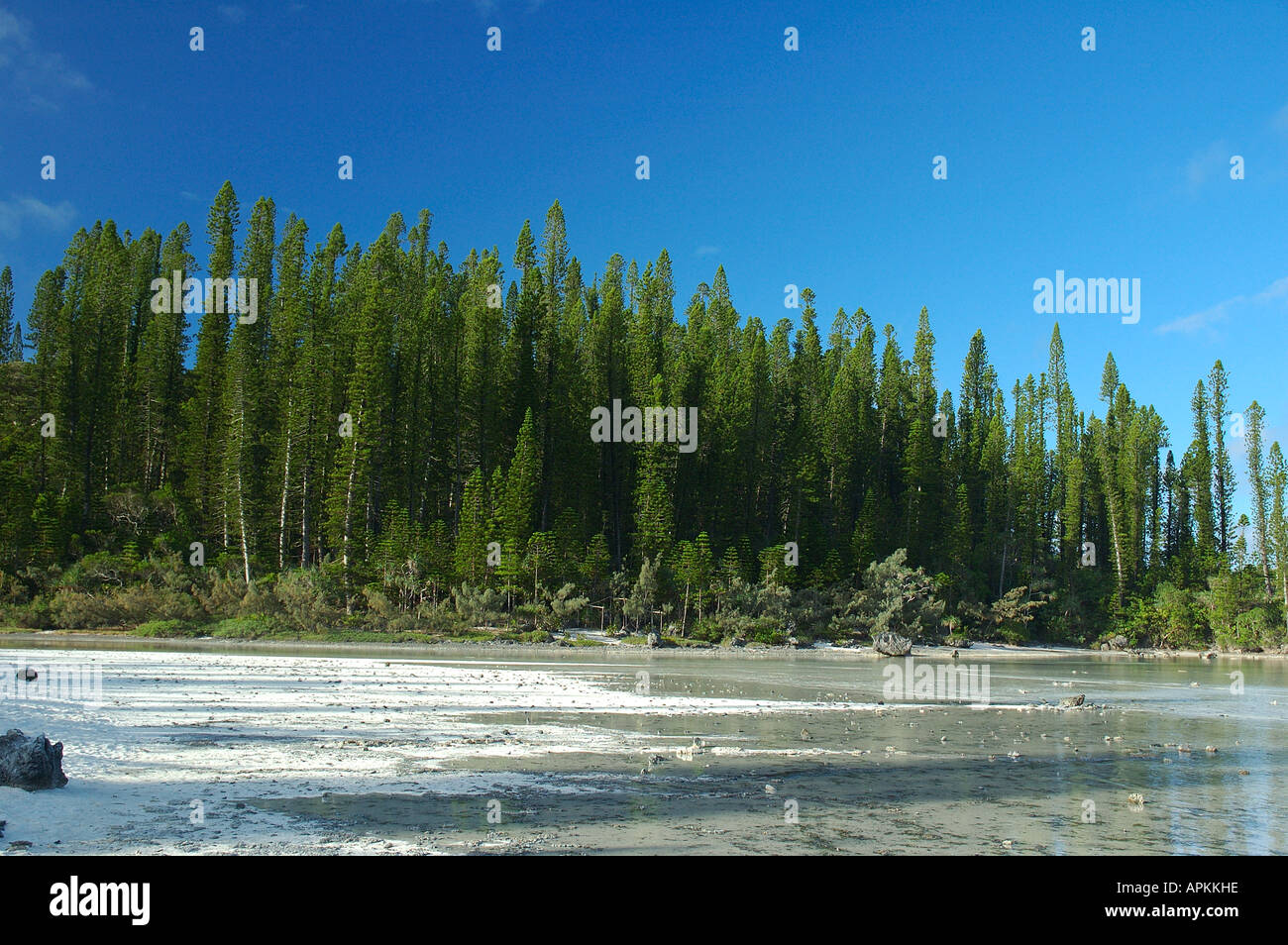 New caledonian indigenous hi-res stock photography and images - Alamy