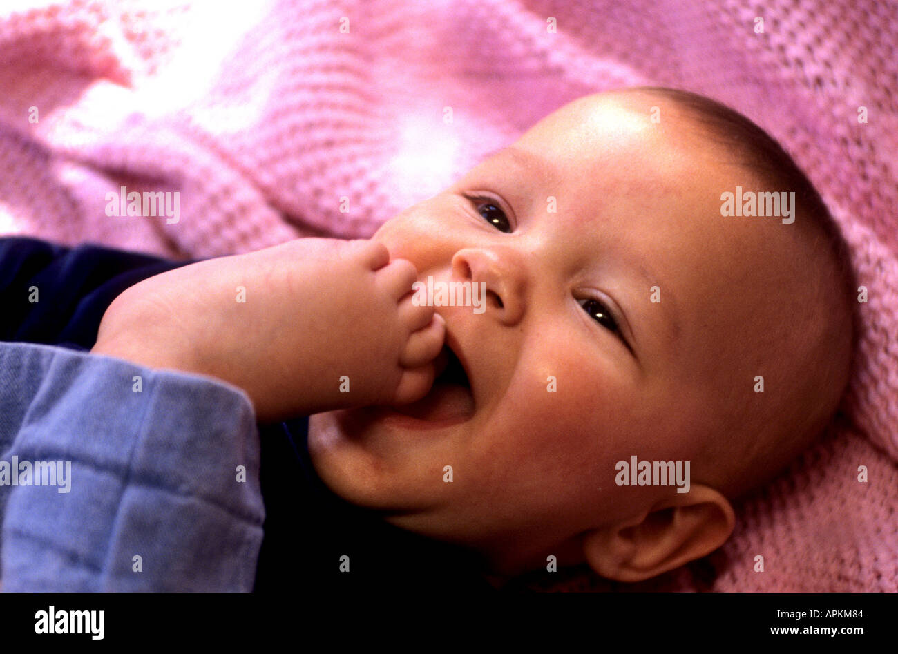 Boy young child son Stock Photo - Alamy