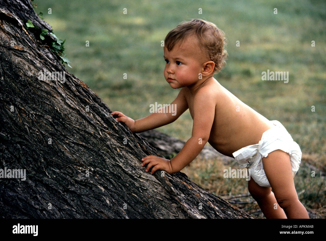 Small little Boy young child future diapers infant Stock Photo - Alamy