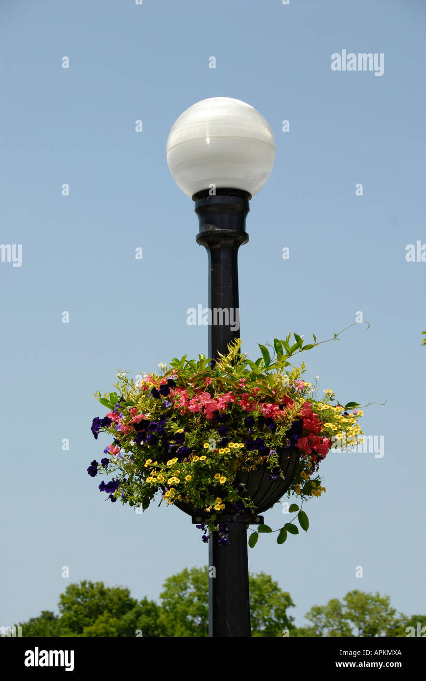 Light pole on beautiful hi-res stock photography and images - Alamy