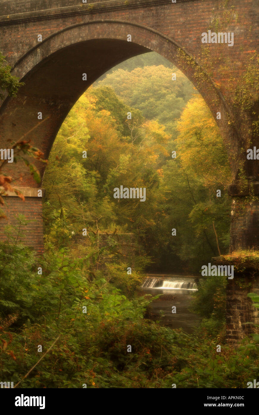 Plymbridge hi-res stock photography and images - Alamy