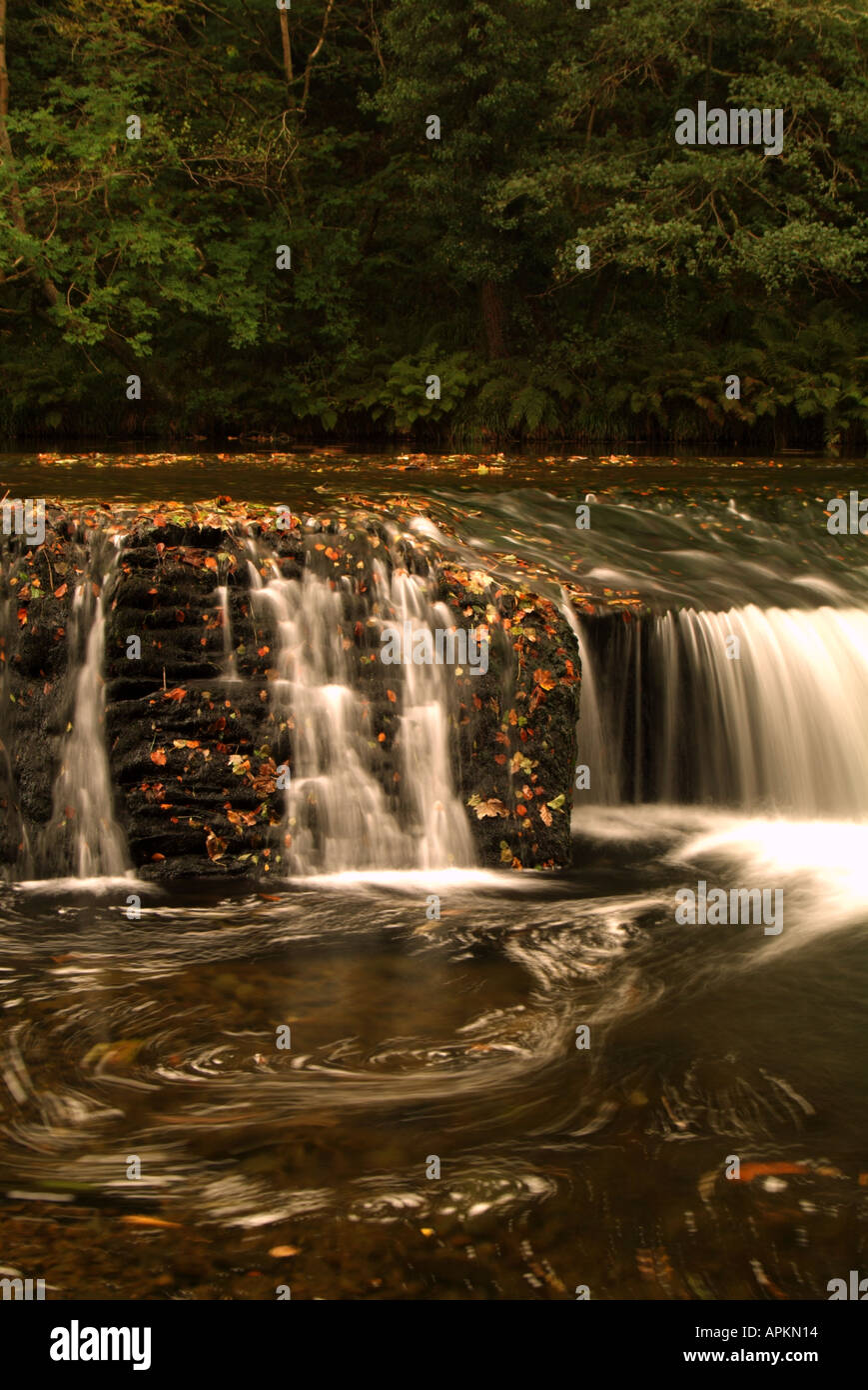 River Plym weir waterfall Plymbridge Devon UK Stock Photo - Alamy