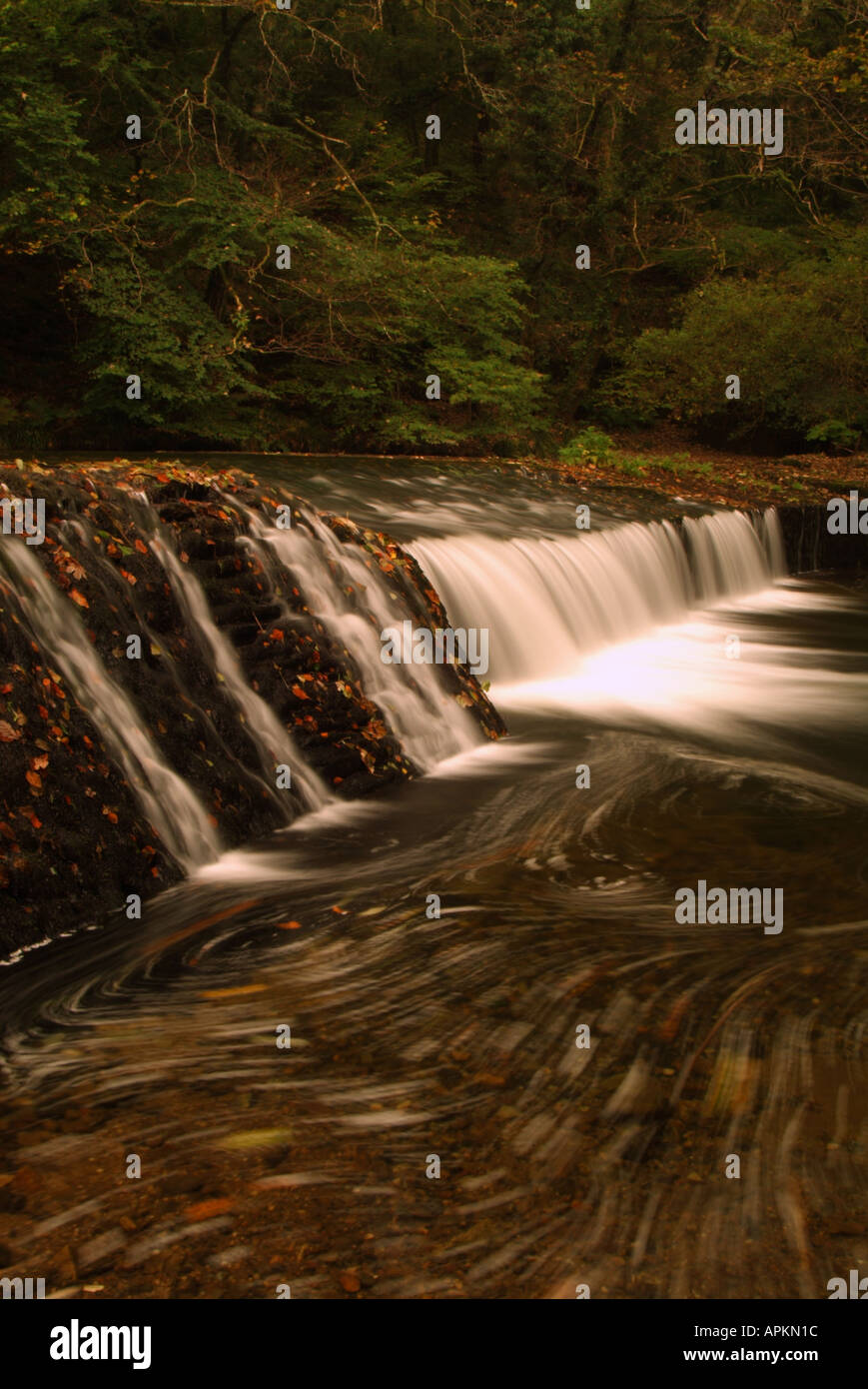 River Plym weir waterfall Plymbridge Devon UK Stock Photo - Alamy