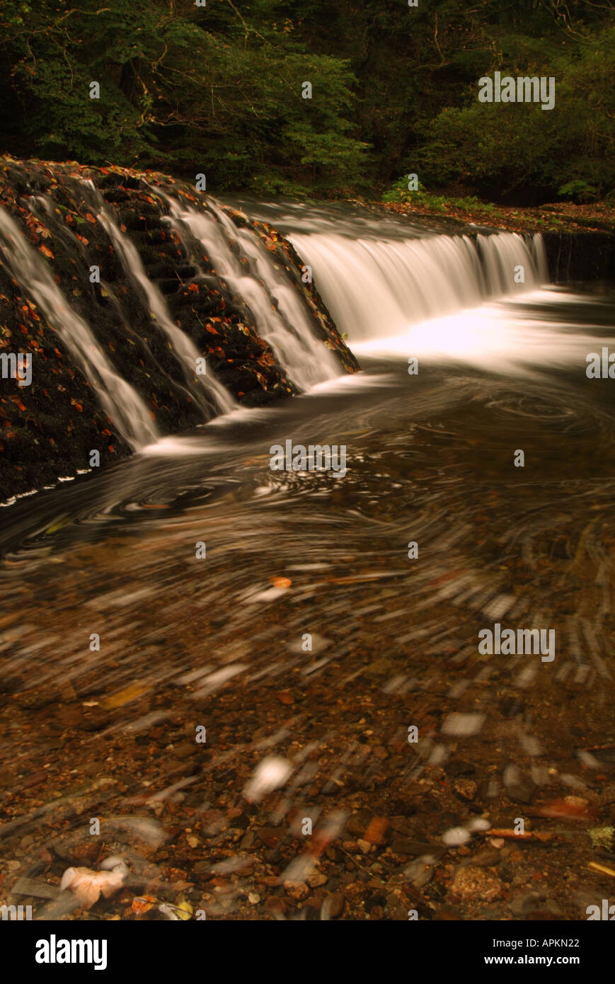 River Plym weir waterfall Plymbridge Devon UK Stock Photo - Alamy